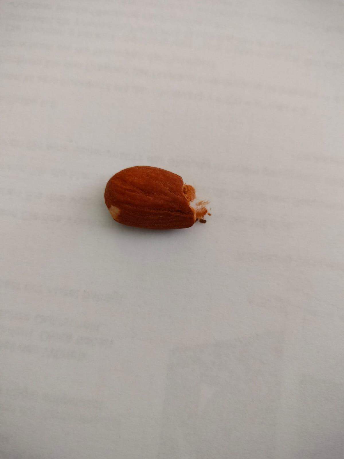 Was ist das in der Mandel? (Essen, Botanik, Mandeln)