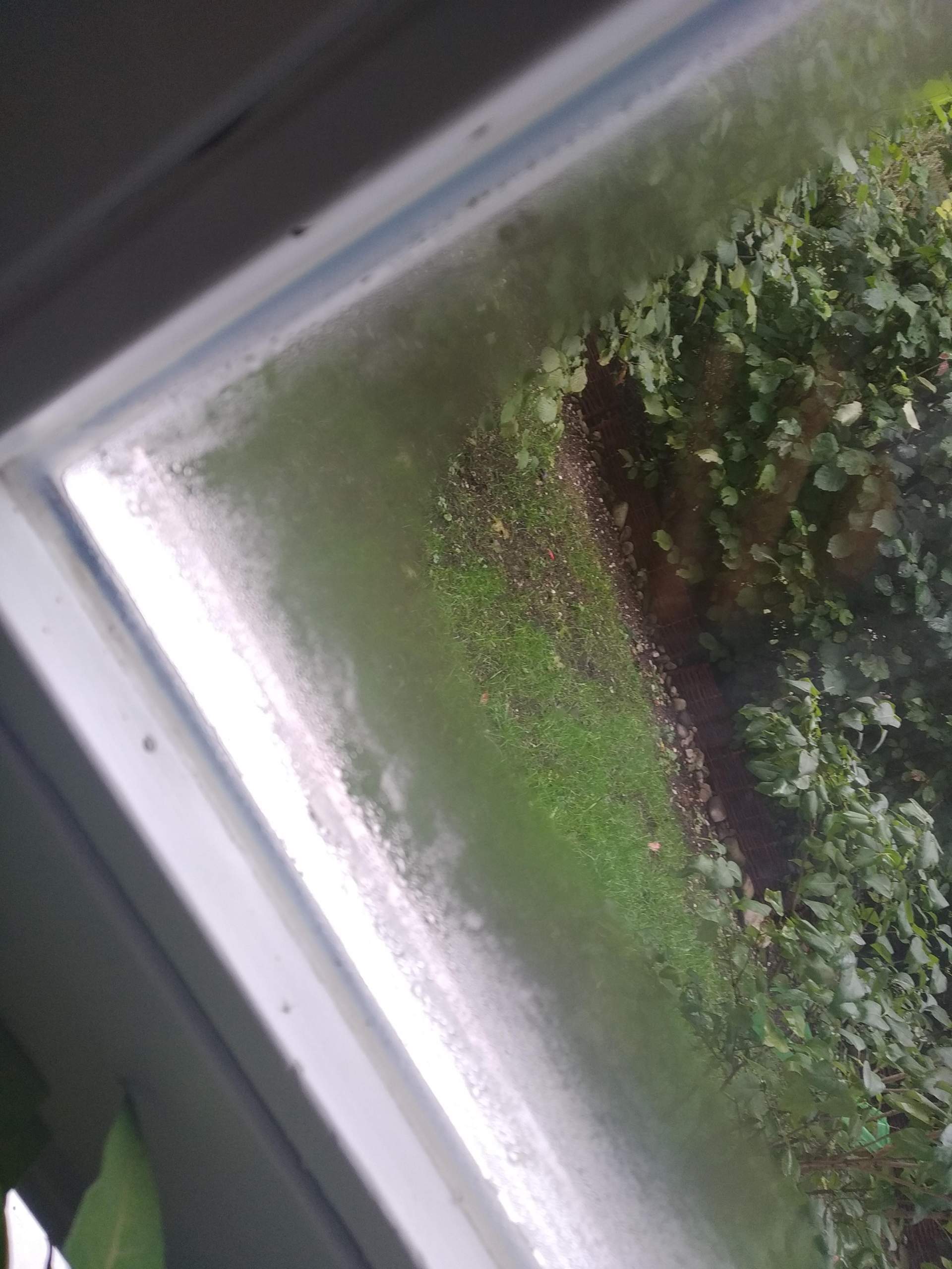 Was ist das mit den Fenstern? (Fenster, Niederschlag)