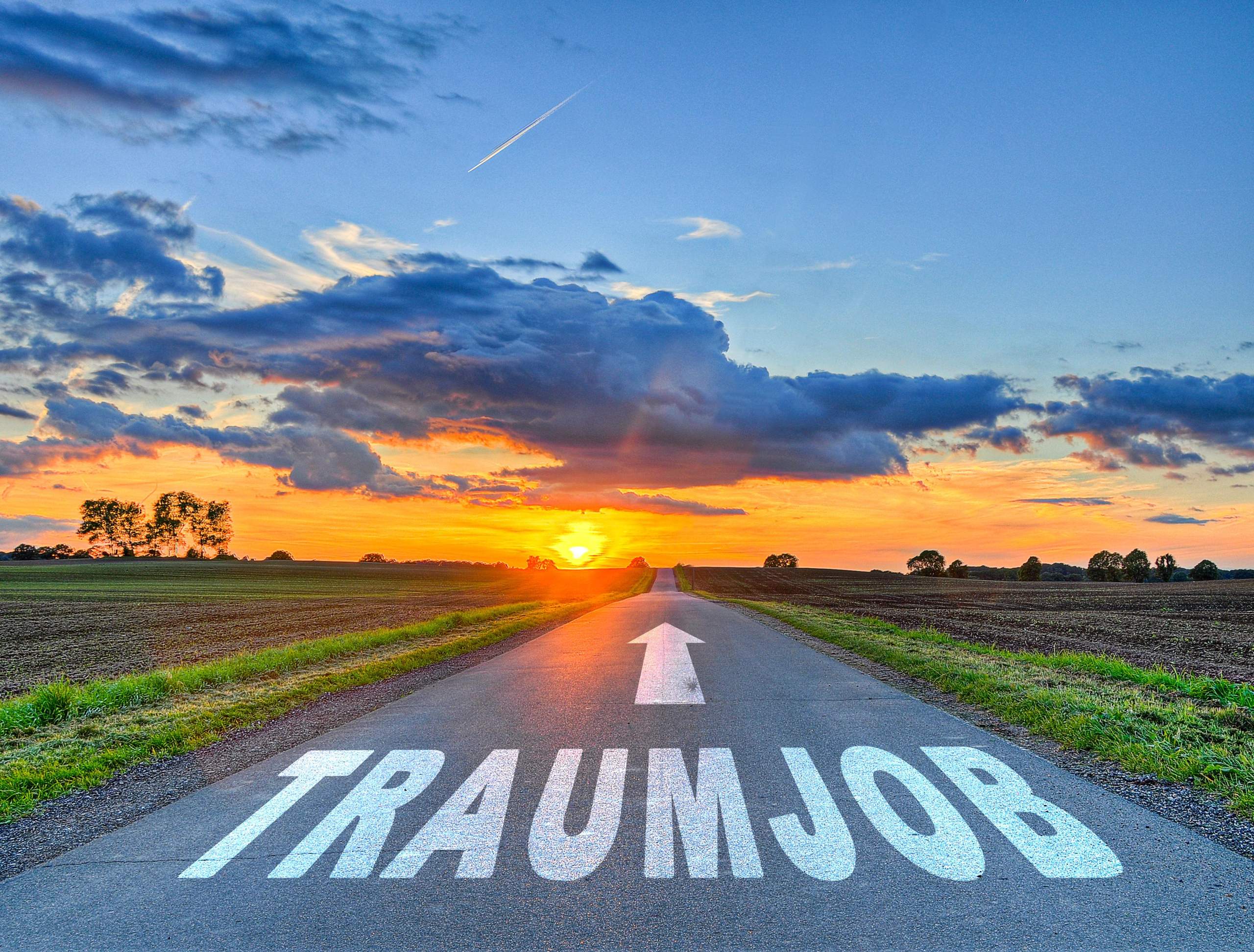 Was ist dein absoluter Traumjob? (Schule, Liebe und Beziehung ...