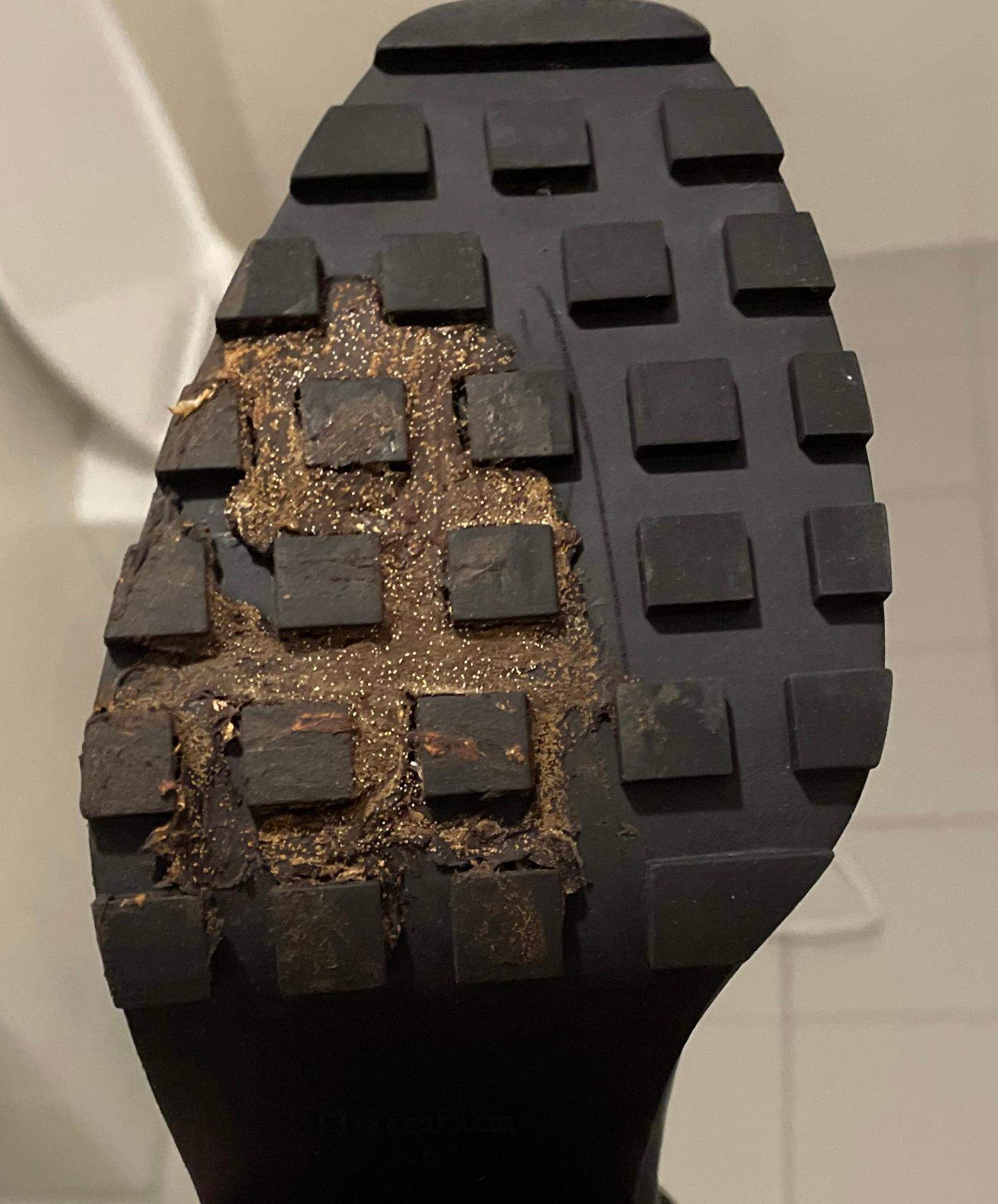 Hundekot Von Schuh Entfernen