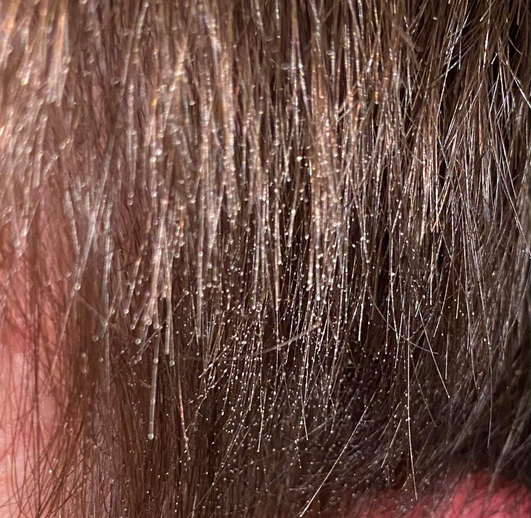 Was ist mit meinen Haaren? (Mädchen, Haare, Haarpflege)
