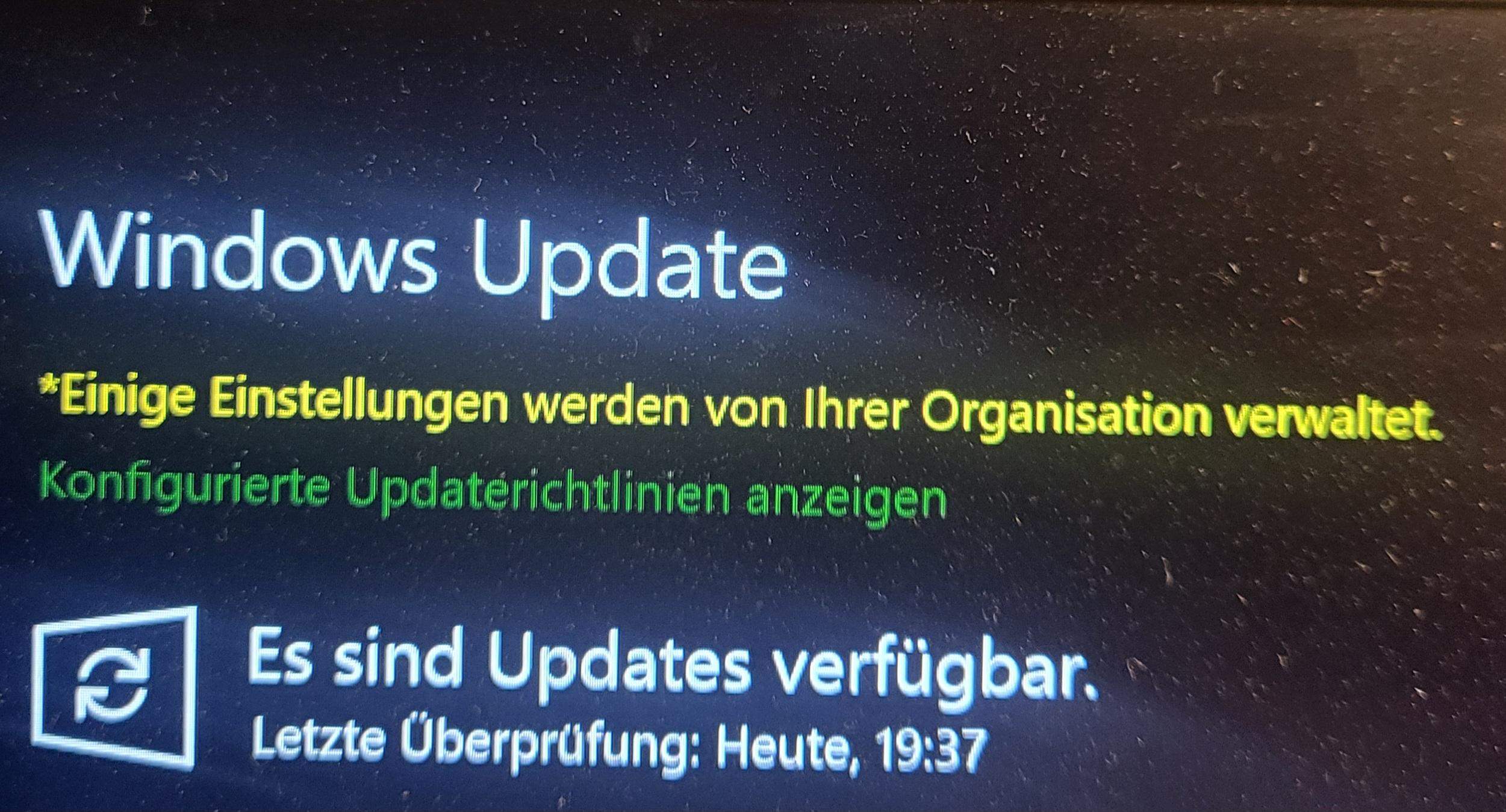 Was ist mit Organisation gemeint? (Windows, Windows 10, Update)