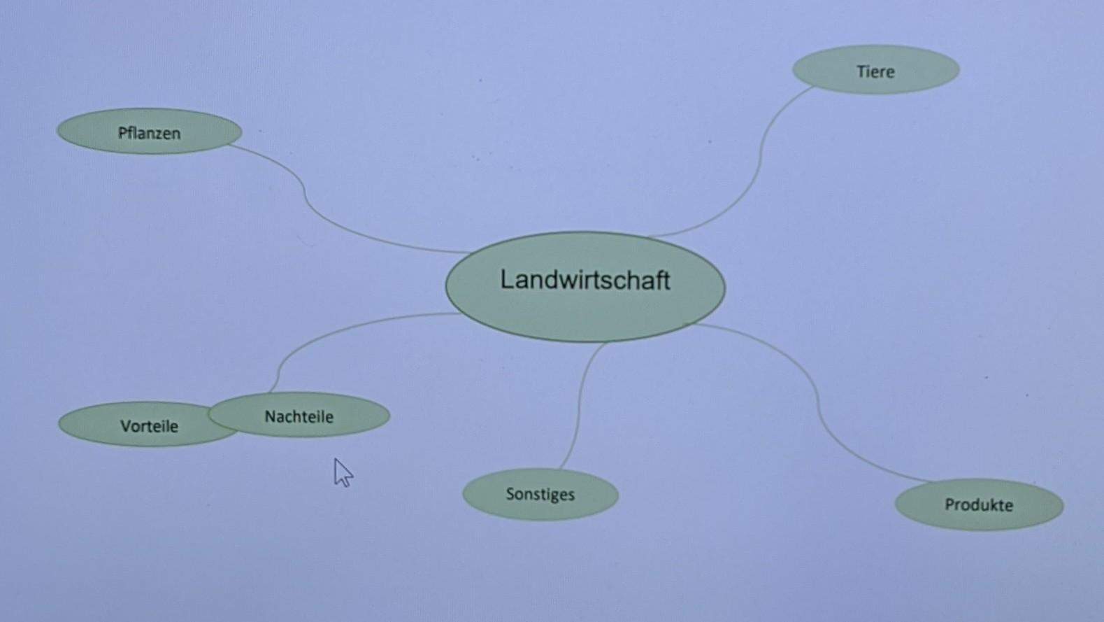 Was ist mit Tiere gemeint? (Biologie)