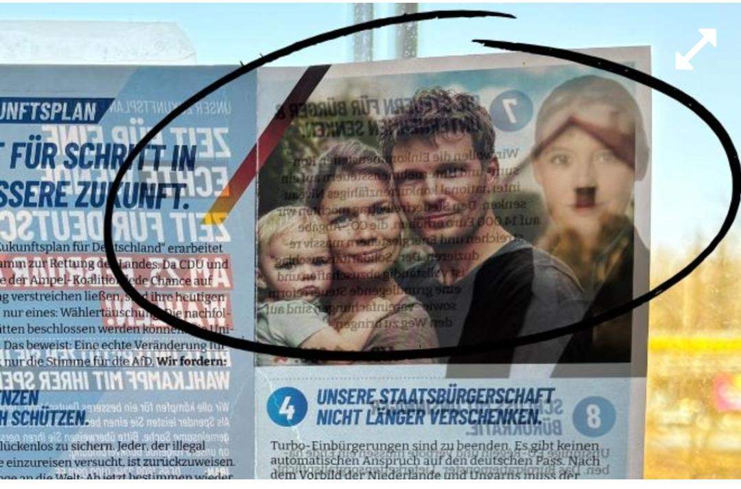 Was sagt ihr zu dem AFD Flyer? (Recht, Geschichte, Wahlen)
