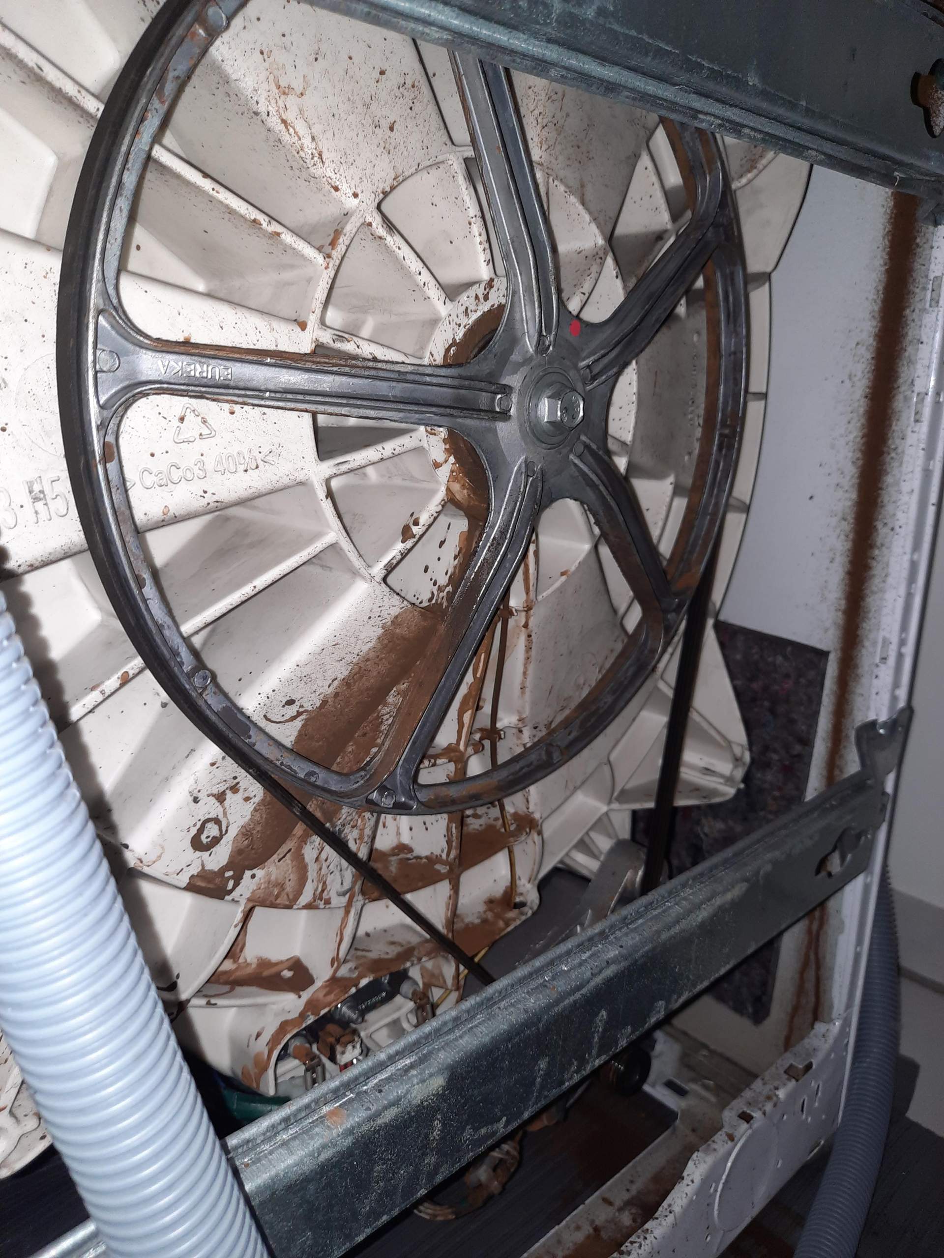 Waschmaschine Macht Flecken