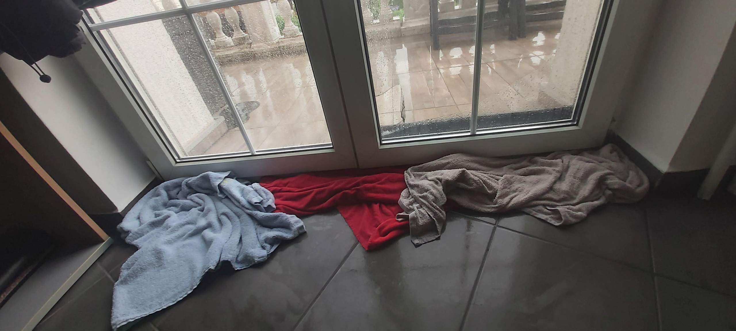 Kommen Mucken Bei Regen Ins Haus