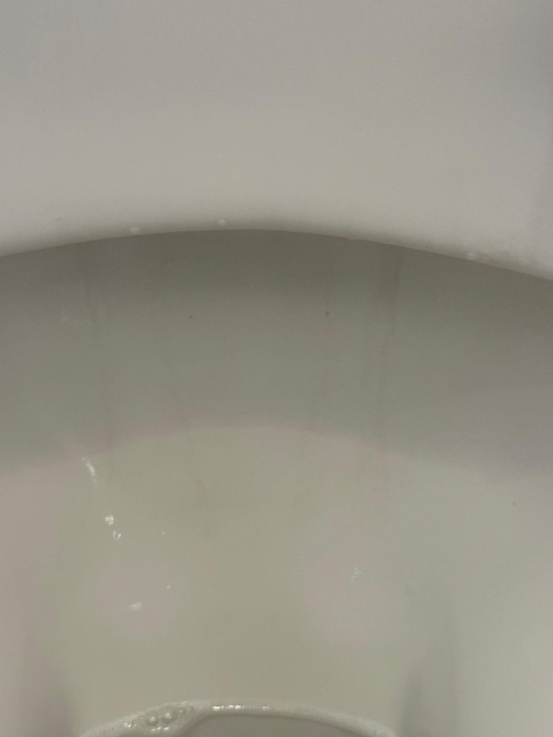 Wc Ablagerungen oder Keramik beschädigt? (Haushalt, Toilette, putzen)