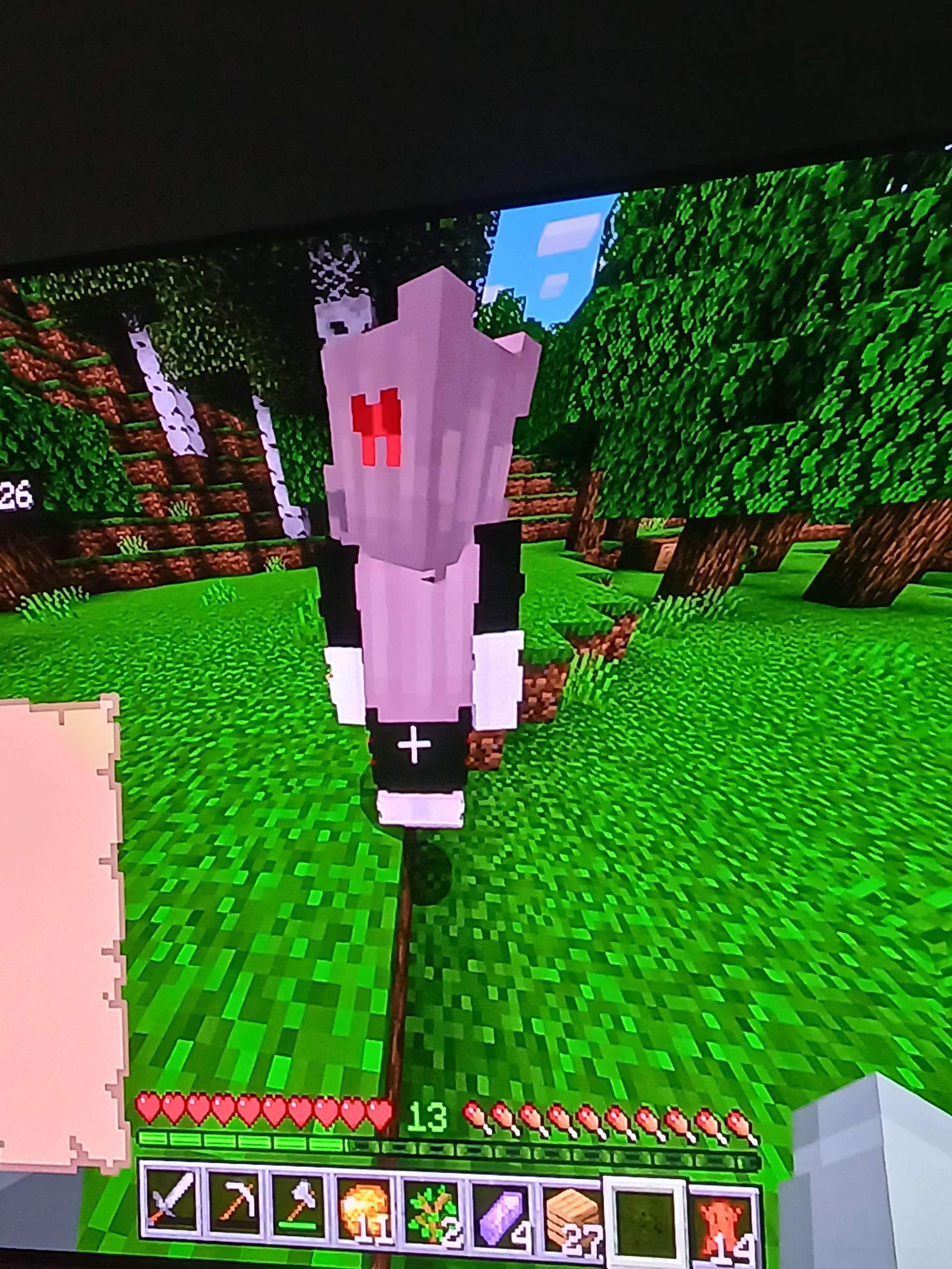 Weiß jemand was das für ein skin ist? (Minecraft, Minecraft Java ...