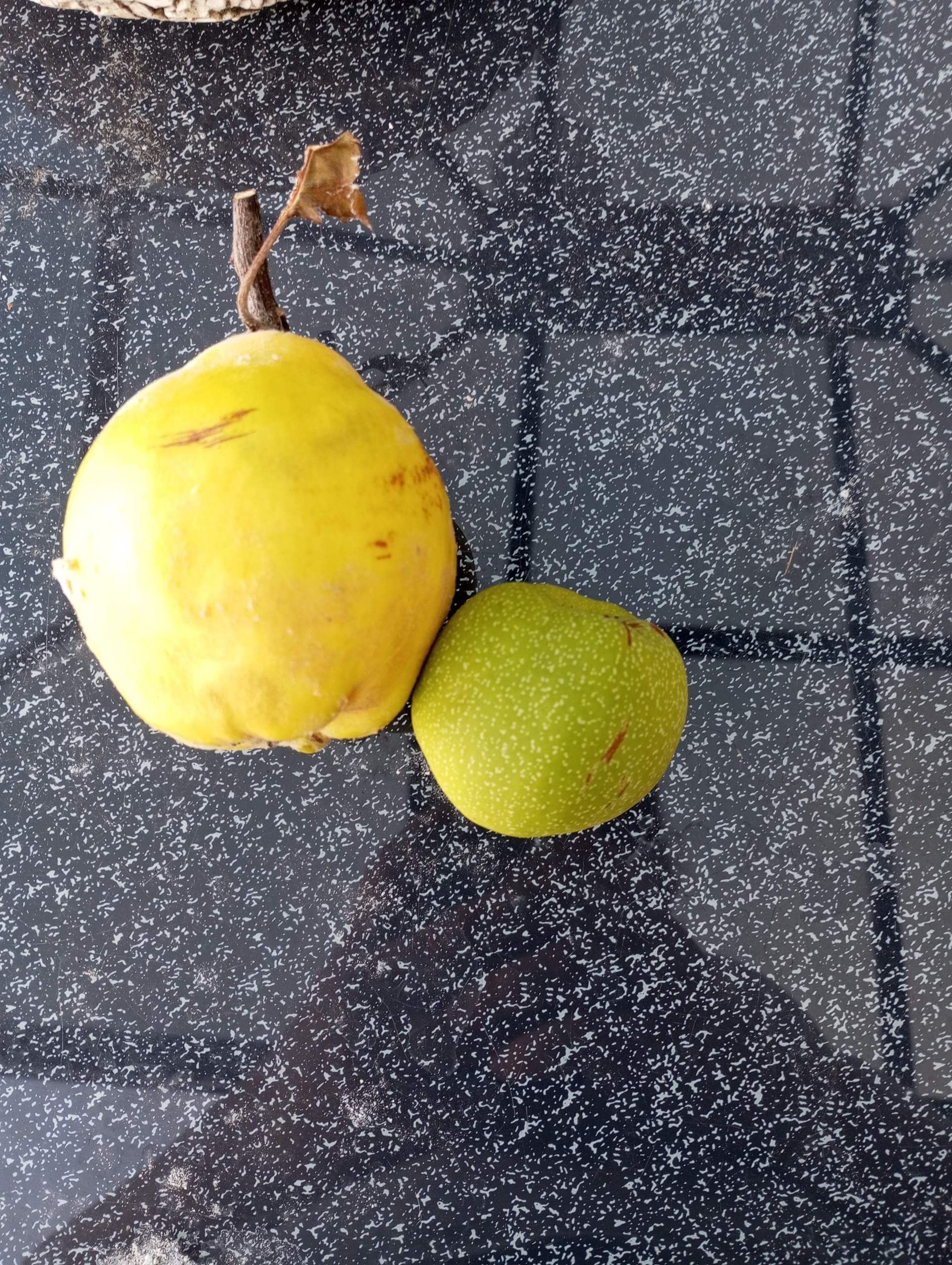 Weiß jemand was diese Frucht ist? (Obst, Früchte)