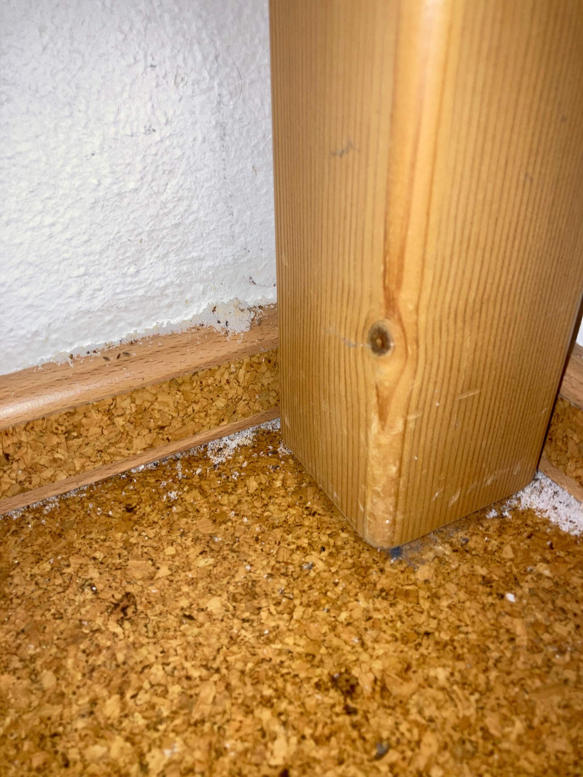 Weißes Pulver an der Leiste an der Wand?