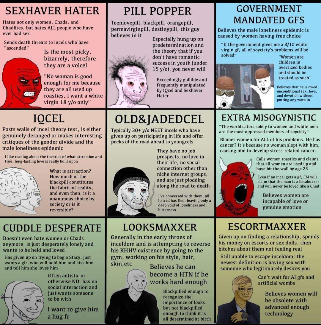 Welche Art von Incel seid ihr? Siehe Bild als bsp (Jungfrau, verrückt)