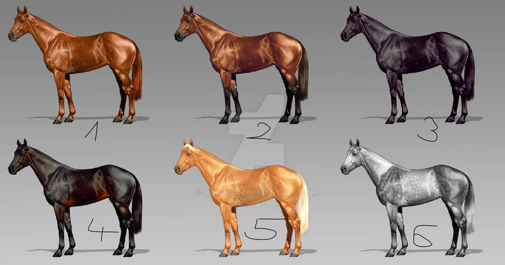 Welche der Farben haben eure Pferde so? (Pferd, Pferdefarben)