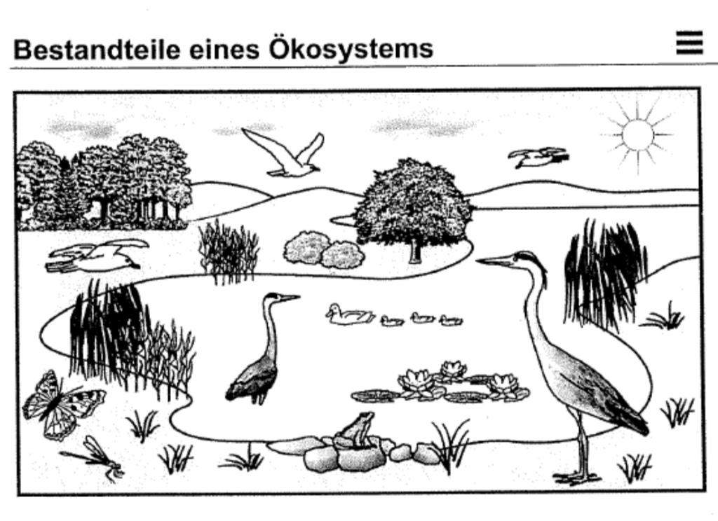 welche faktoren kennzeichnen das ökosystem see (siehe Bild)? (Schule ...
