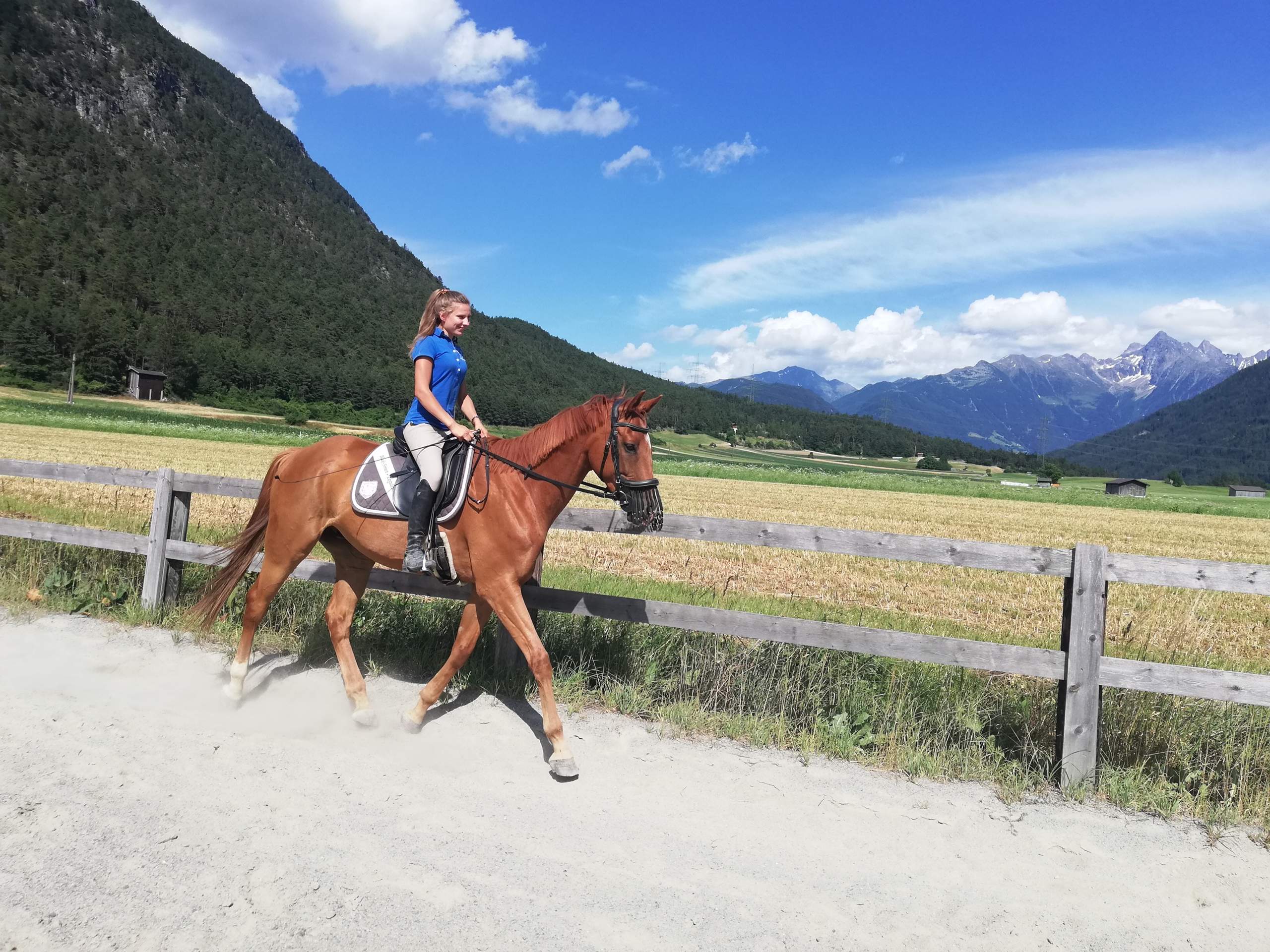 Welche Farbe für Fuchs? (Tiere, Pferd, Reiten)