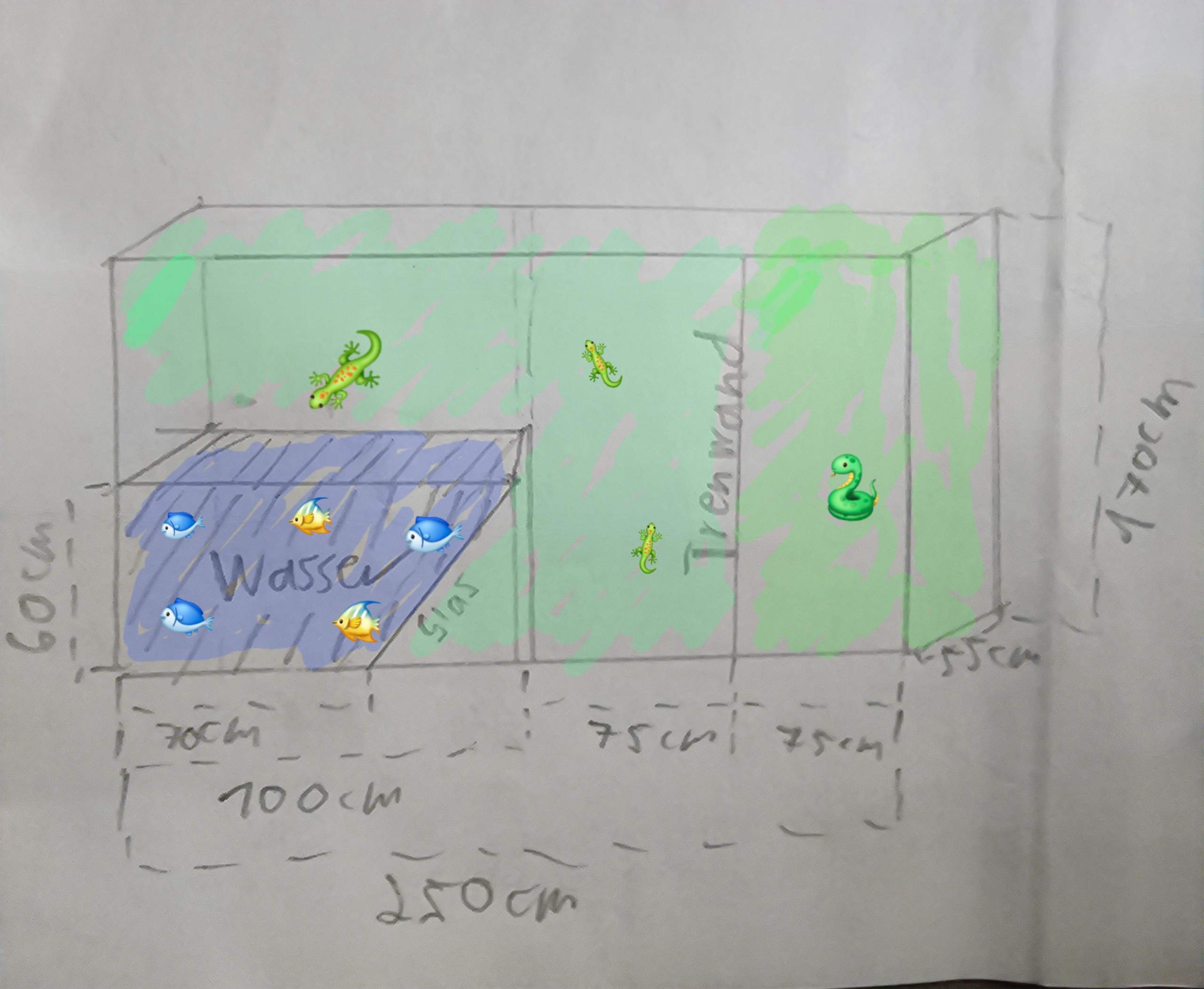 Welche reptilien, schlangen in einem Paludarium mit Fischen? (Aquarium ...