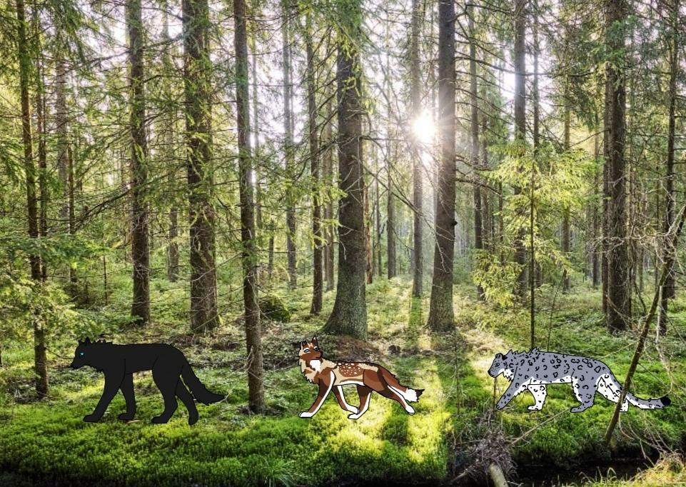 Welche Theriotypes habt ihr? (Therianthropie, Therian Shift, Theriantype)