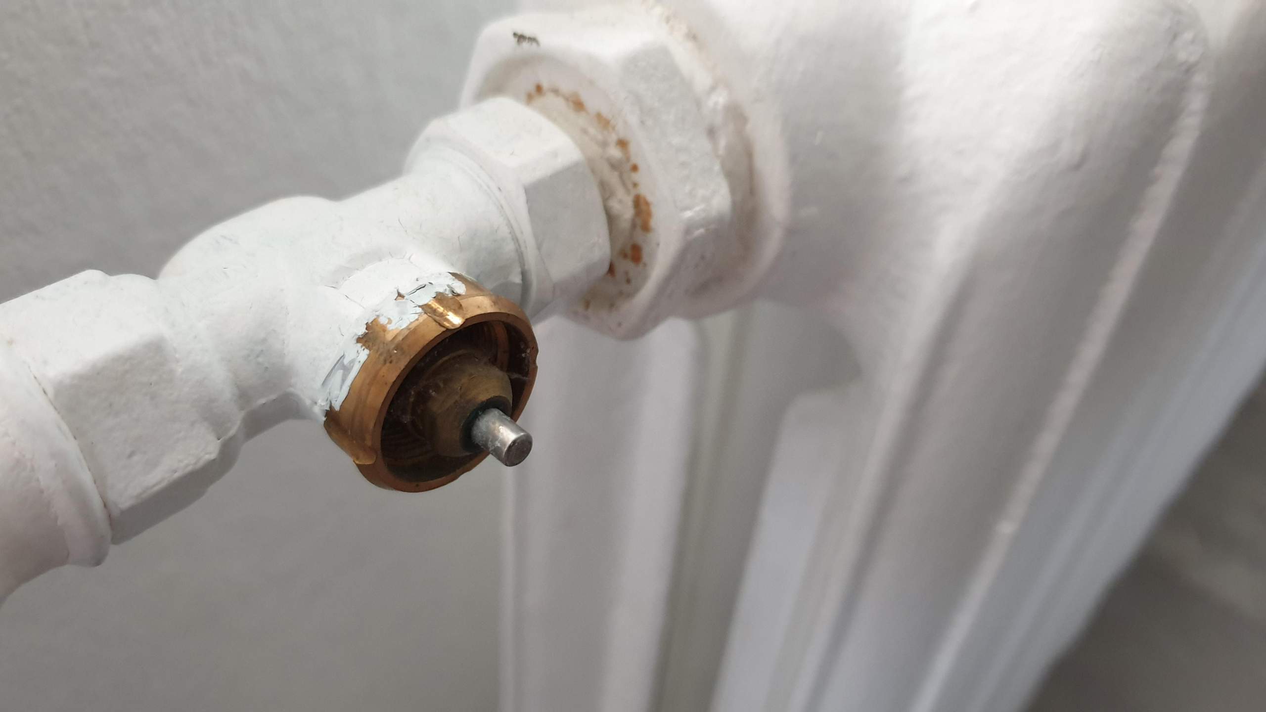 Welchen Adapter für meine Heizung / Heizungsthermostat benötige ich ...