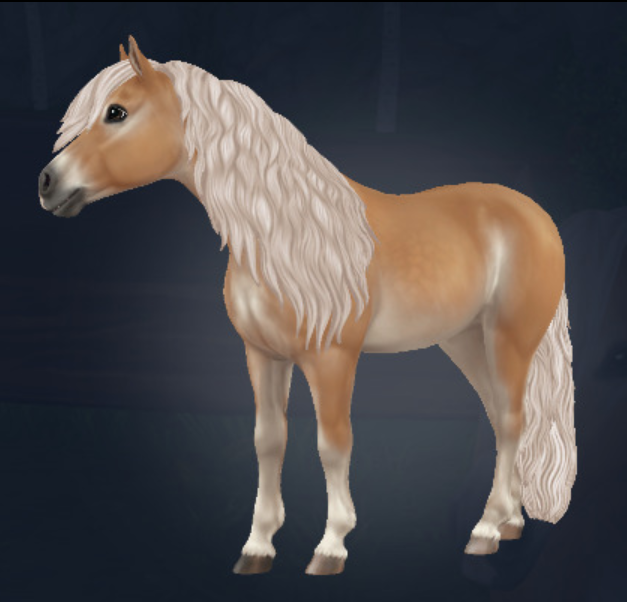 Welcher Name passt am besten (Sso)? (Fantasy, Star Stable, Fairy Tail)