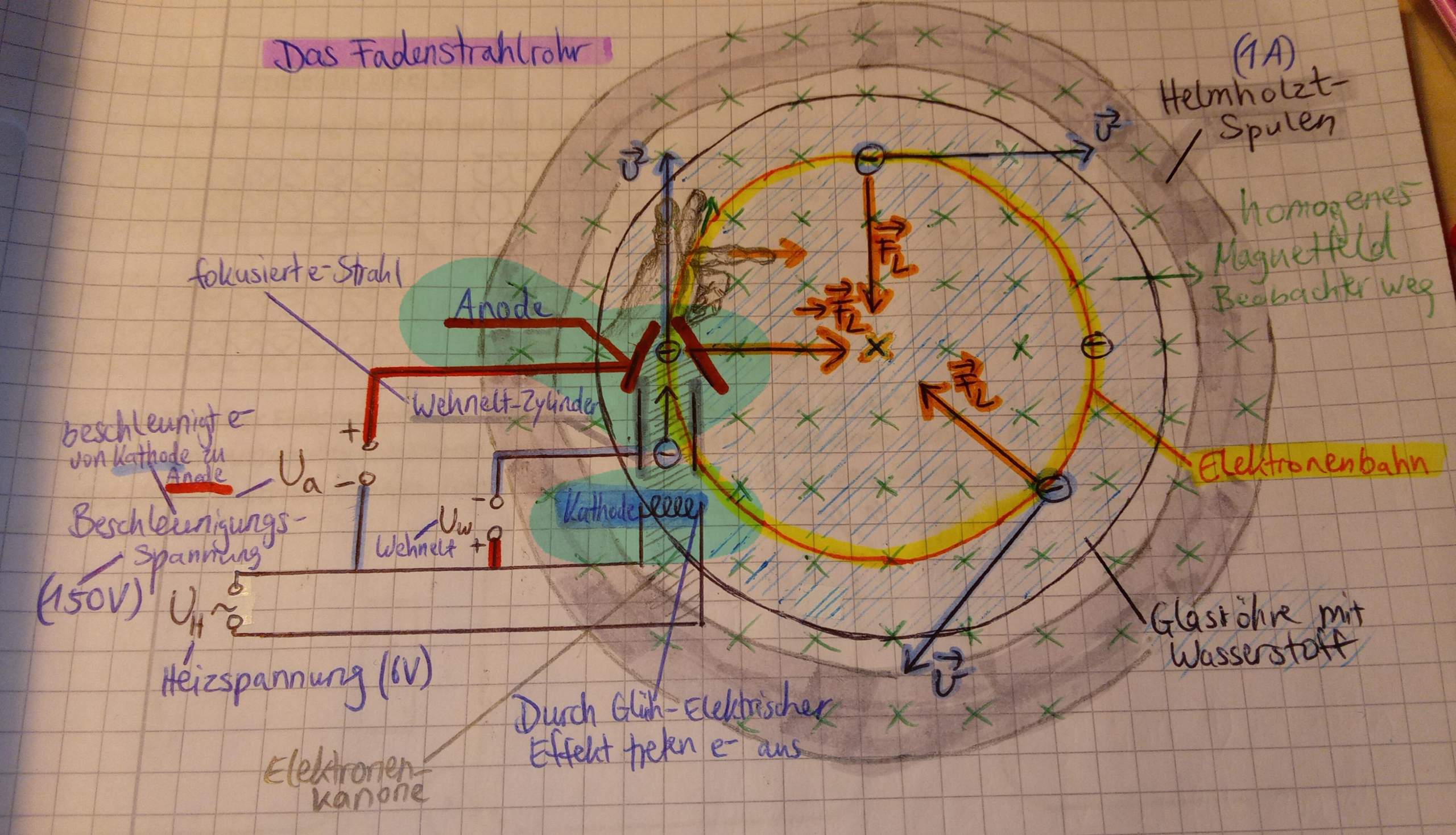 Welcher Teil des Fadenstrahlrohrs beschleunigt die Elektronen? Kathode ...