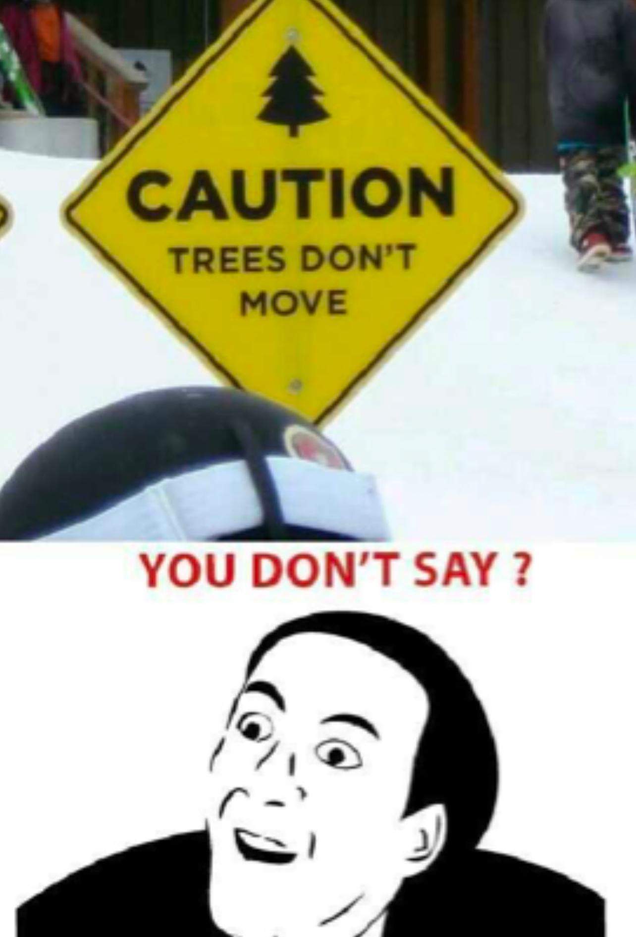 Welches Genre bei Memes mögt ihr am liebsten? (Meme)