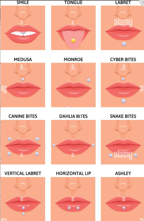 Welches ist euer liebstes Mundpiercing? (Attraktivität, Schönheit ...