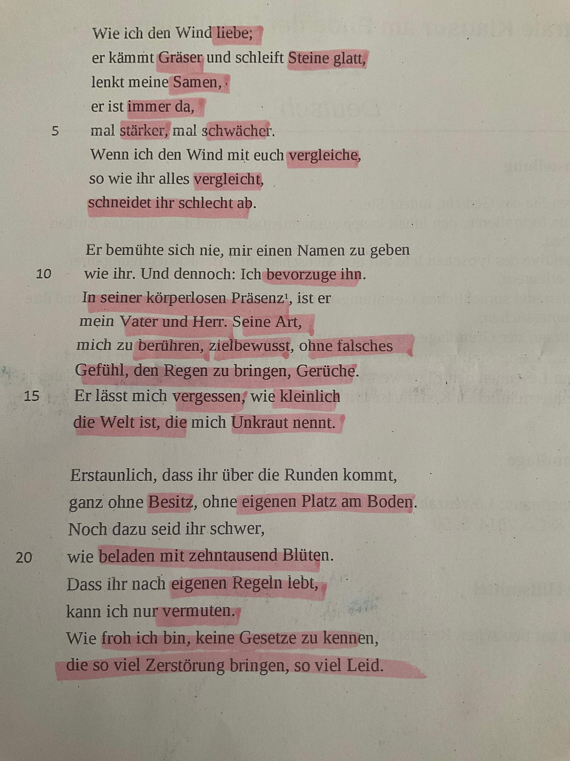 Welches Metrum und reimschema? (Schule, Deutsch, Hausaufgaben)