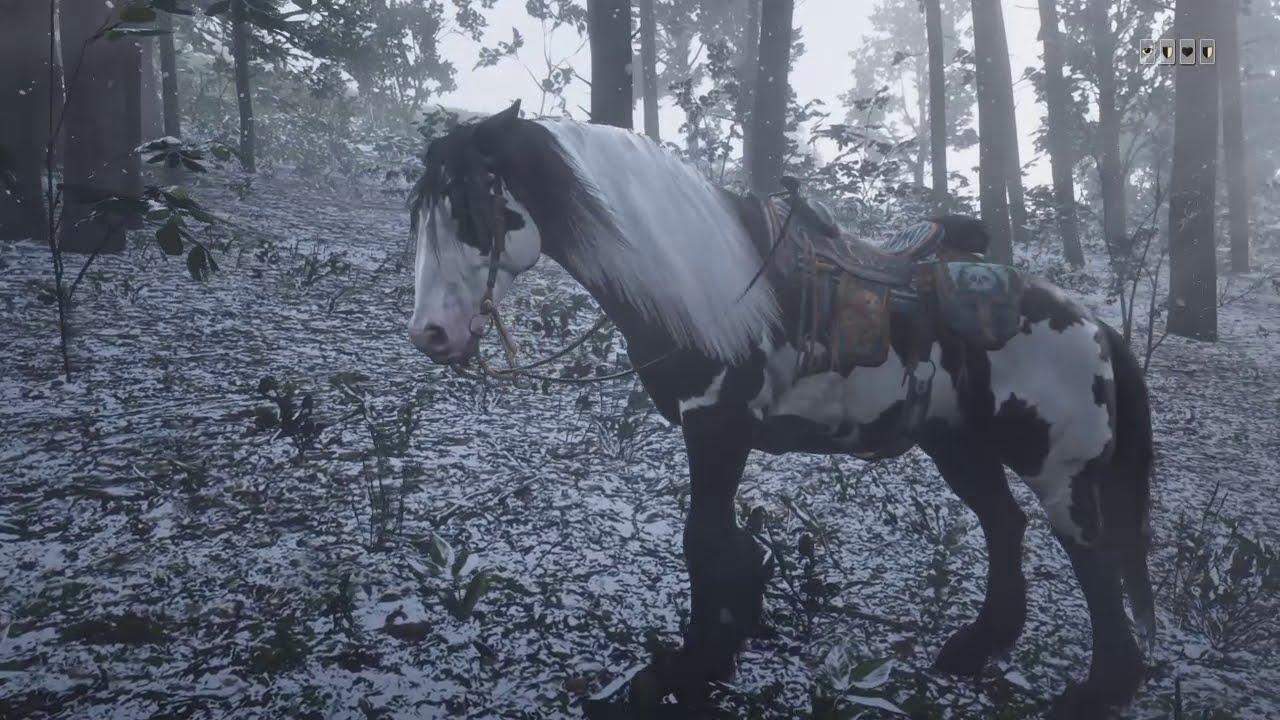 Welches von den beiden Pferden soll ich mir in RDO holen? (Computer ...