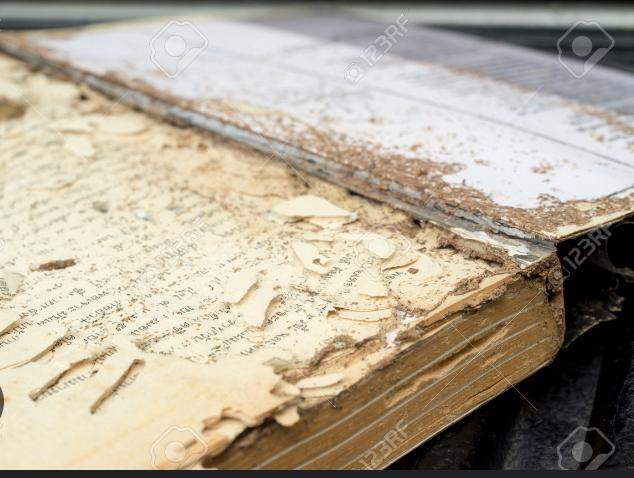 wenn ein Buch von der Bücherei kaputt ist gehört es dann dir? (beschädigt)