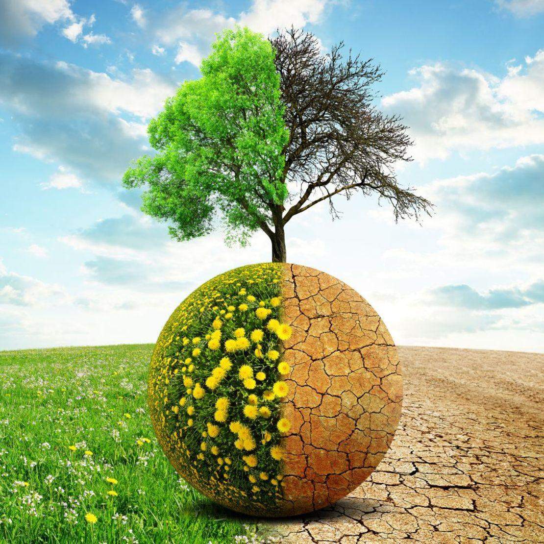 Wetterextreme und Klimawandel - wie erleben wir das? (Klimaschutz)