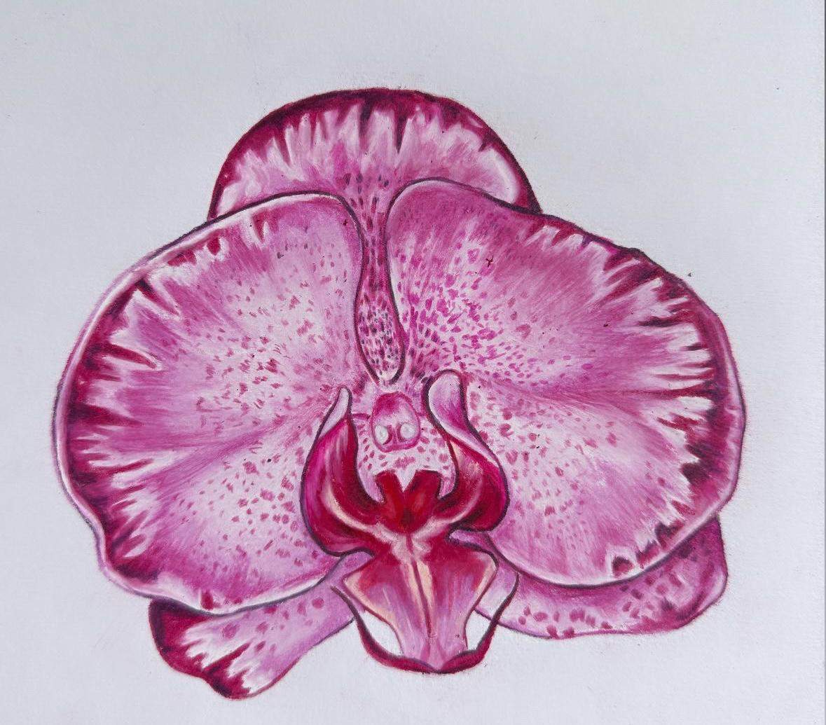 Wie bekomme ich das Bild realistischer hin? (Bilder, Kunst, Farbe)
