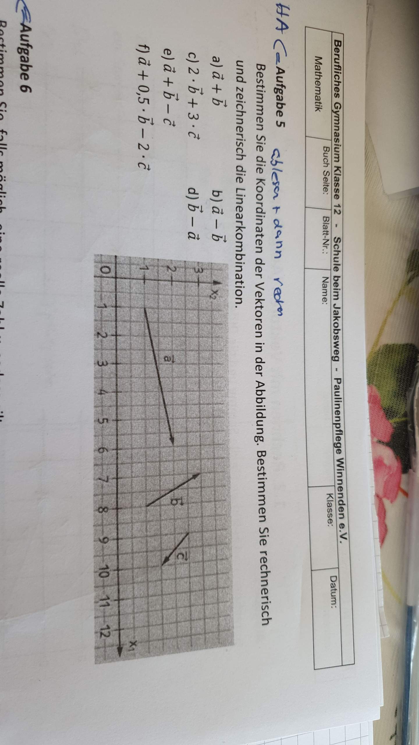 Wie bestimmt man die Koordinaten v. Vektoren? (Schule, Mathematik)