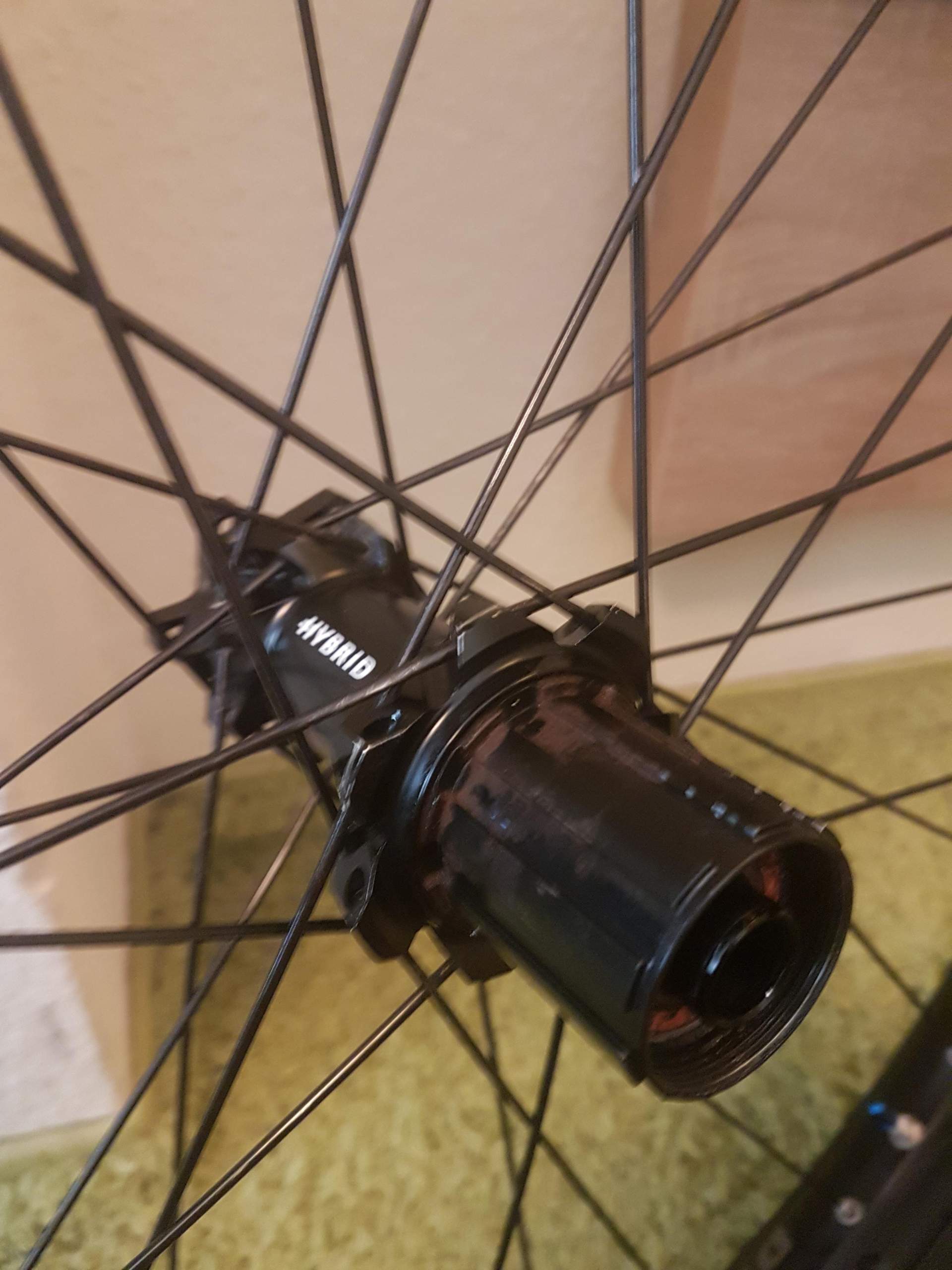 Wie entfernt man den DT Swiss Freilauf? (Reparatur, Mountainbike ...