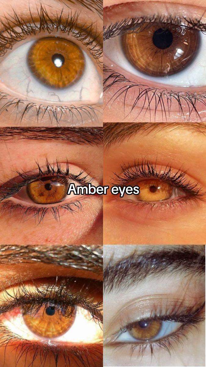 Wie findet ihr Amber Eyes? (Mädchen, Jungs)