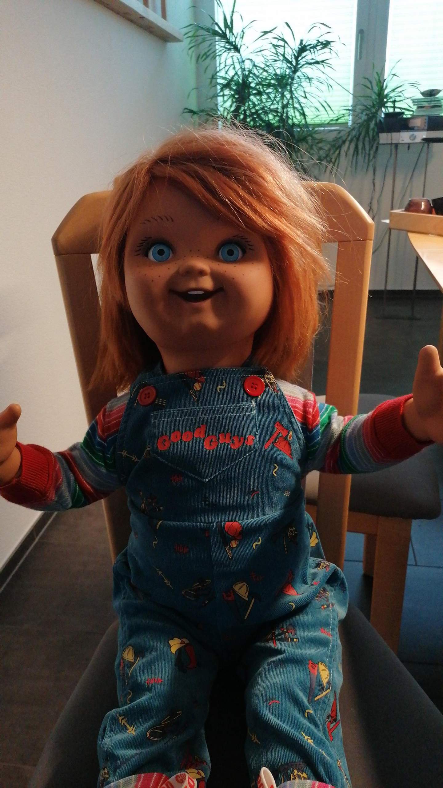 Wie findet ihr chucky? (Horror, Puppen)