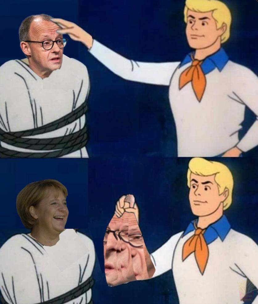 Wie findet ihr das CDU-Meme? (Wahlen, AfD, Partei)