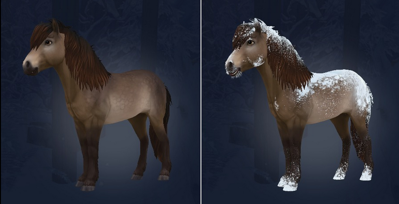 Wie findet ihr den Namen Snowprince für Katur(SSO)? (Name, Schnee, Star ...