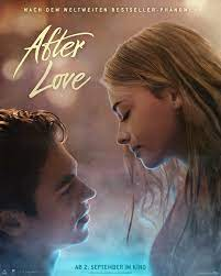 Wie findet ihr die Film/Buchreihe ,,After" (After Love, After Passion ...