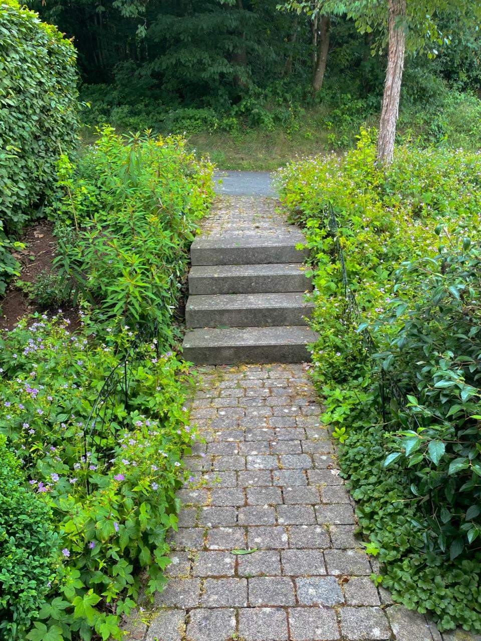 Wie findet ihr meinen ersten Vorgarten (der Weg zum Haus)? (Garten ...
