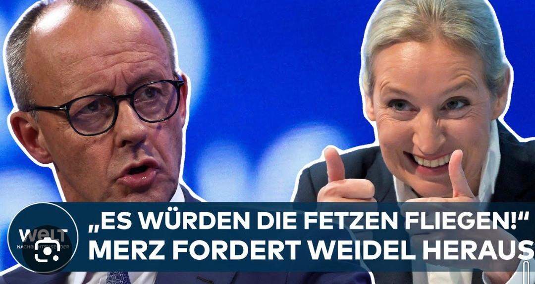 Wie findet ihr Merz Umgang mit Weidel?