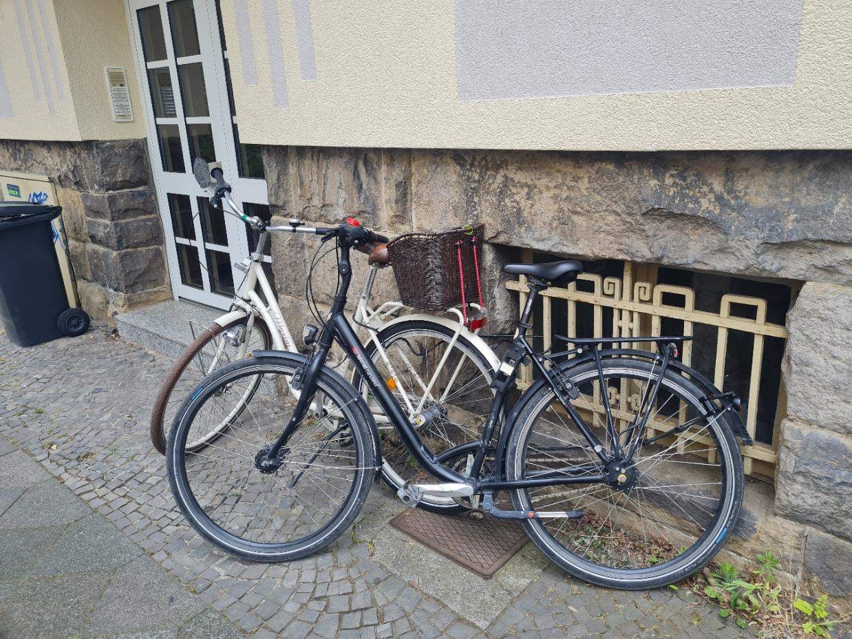 Wie gehe ich am besten vor, wenn einer ständig mein Kellerfenster mit ...