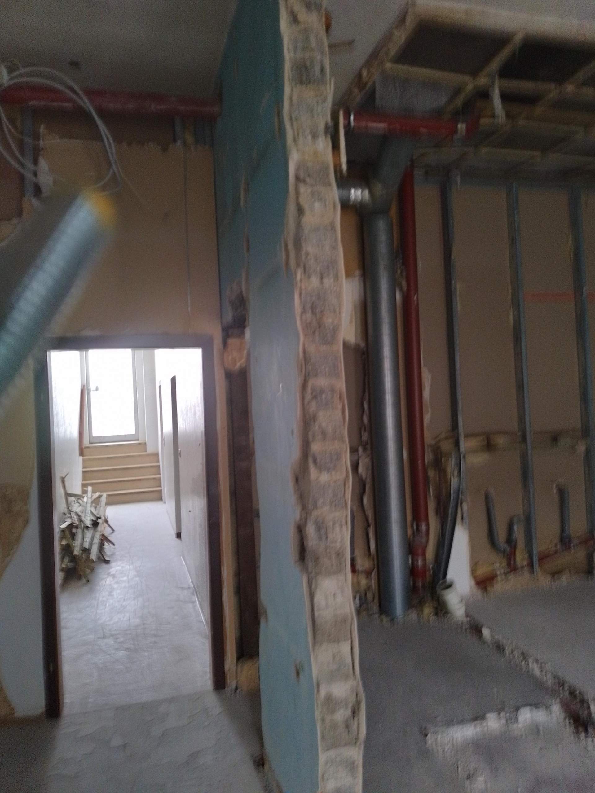 wie gehe ich bei einer Duldungs Klage vom Vermieter vor? (Mietwohnung, Mietvertrag, Renovierung)