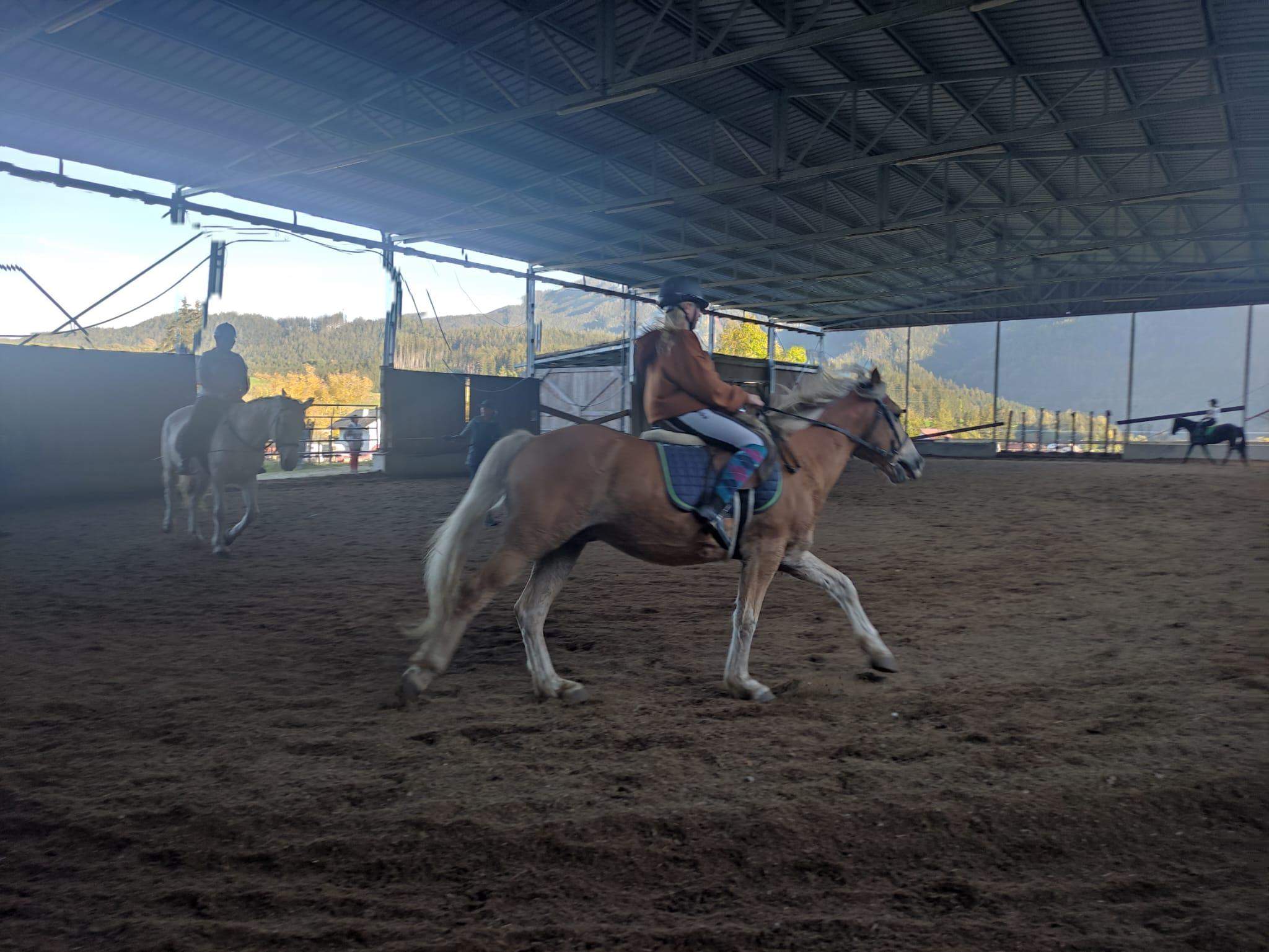 Wie gut kann ich reite? (Pferd, Reiten)