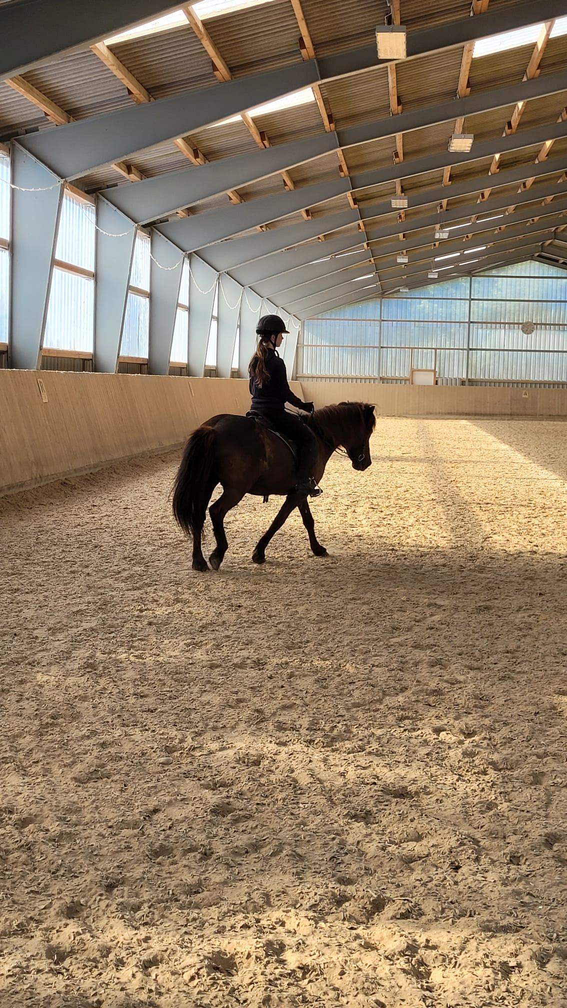 Wie gut reite ich? (Reiten, reiten lernen)