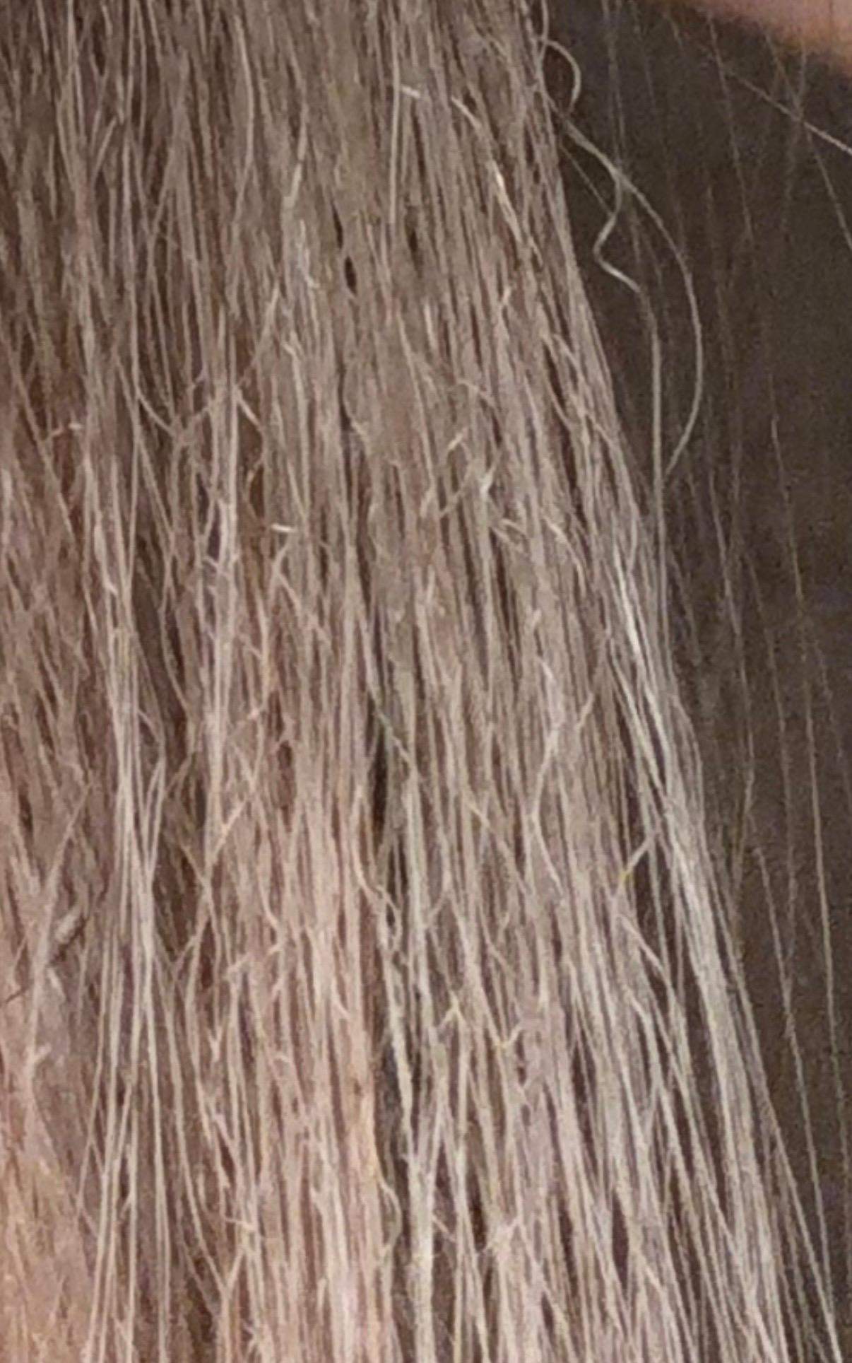 Wie kaputte Haare retten? (Friseur, Haarfarbe, Haarpflege)