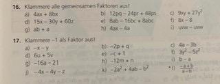 Wie klammert man mit einem Faktor aus? (Schule, Mathe, Mathematik)