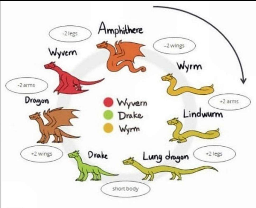 Wie nennt man diese verschiedenen Fantasywesen? (Sprache, Fantasy, Drachen)