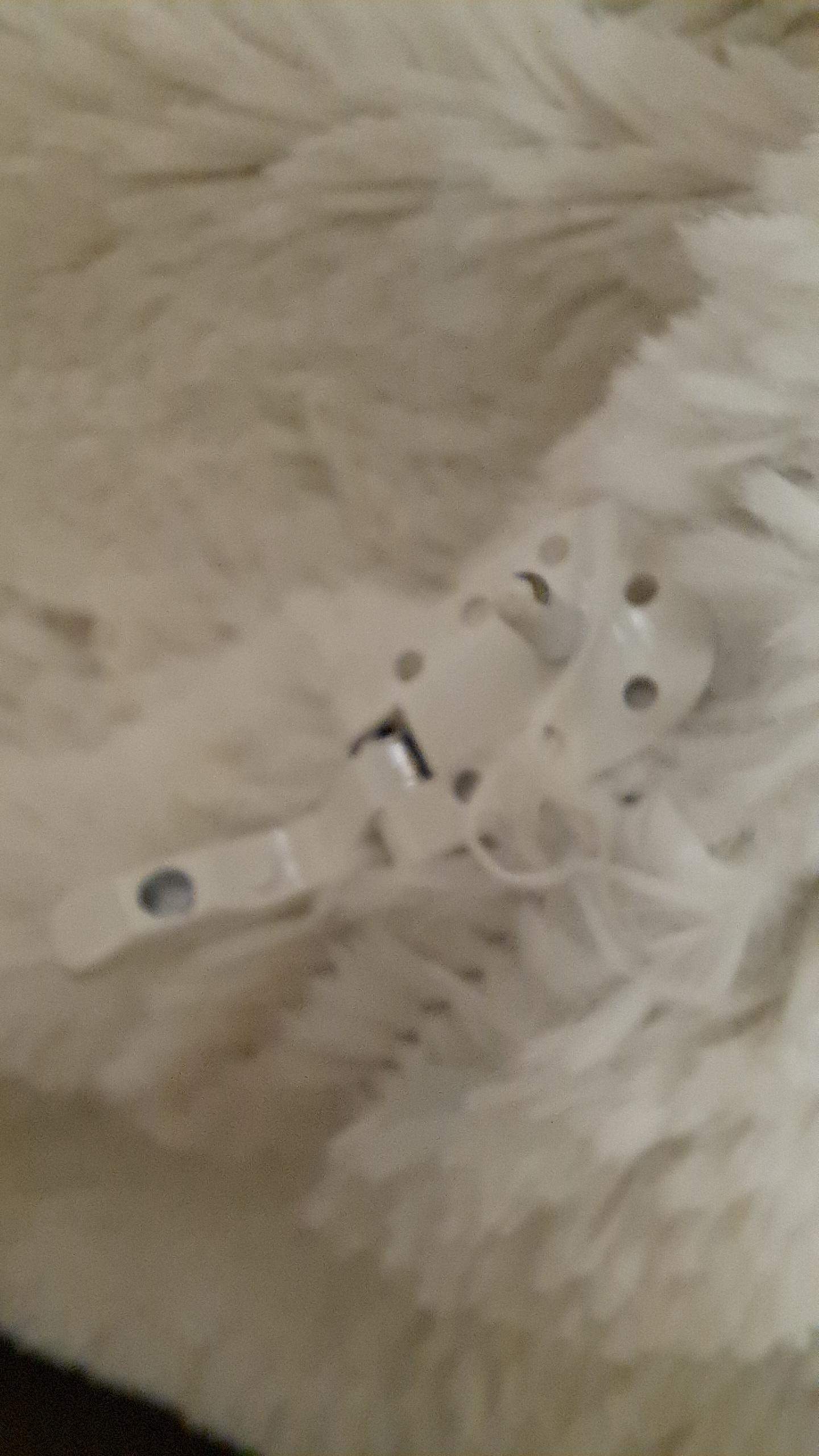 Wie nennt sich dieser Verschluss? (Kleidung, Mode, Reparatur)