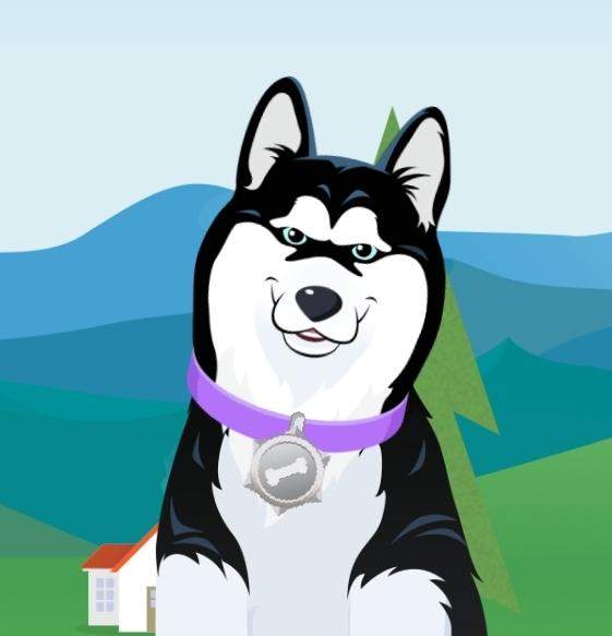 Wie sicher ist das VPN vom Hund Max aus der App Phone Guardian ...