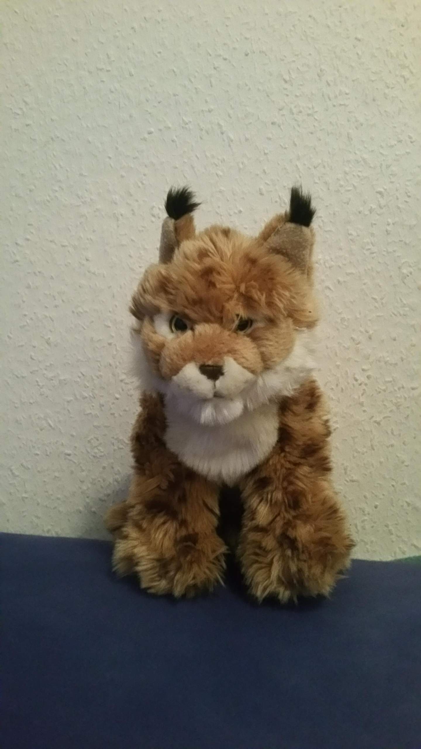 Wie soll er sein neues kuscheltier nenenn? (Name, Namensgebung ...