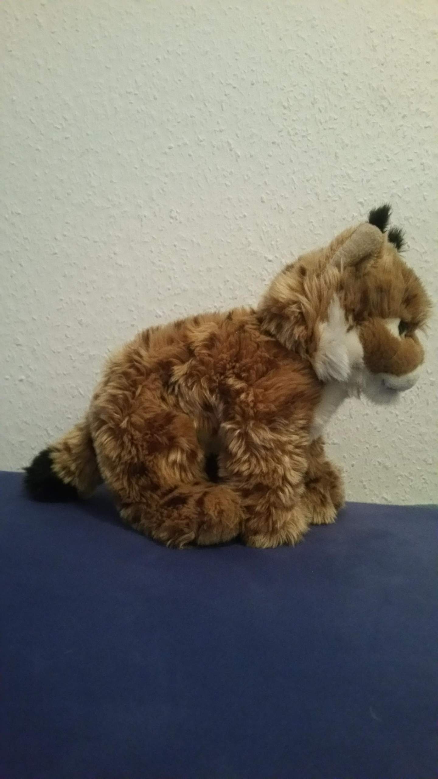 Wie soll er sein neues kuscheltier nenenn? (Name, Namensgebung ...